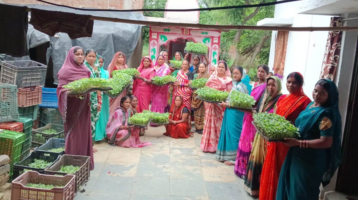 जिला पंचायत रायपुर की नई पहल : MKSP योजना के तहत 20 गाँवो को मिलेगा लाभ ...